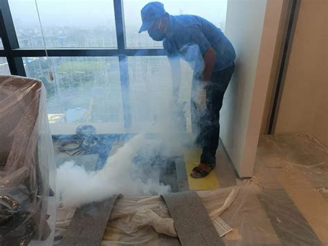 Mosquito Pest Control Services In Navi Mumbai By Super Star Facility