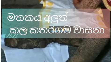 මතකය අලුත් කල කතරගම වාසනා 🙏🙏 Youtube