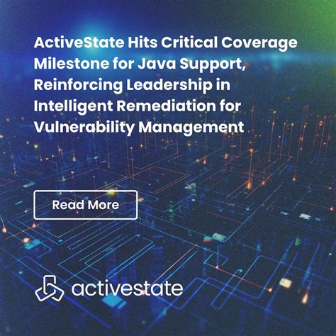 devsecops opensource vulnerabilitymanagement java cybersecurity