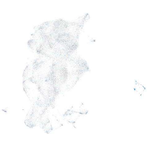 Ncbp3 Periderm Daniocell