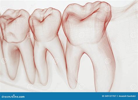 This Schematic Design Features A Dental Arch Representation Showcasing