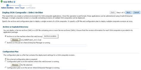 Deploying And Managing Soa Composite Applications