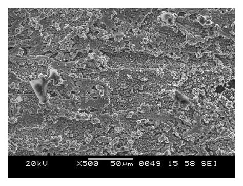 Microstructures Of Electroless Ni P Deposits Deposited For Times 15
