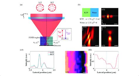 A Schematic Of An Fdtd Simulation For Nonlinear Microscopy For Download Scientific Diagram