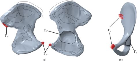 A Design Domain For Topology Optimization Of The Hip Bone The Design Download Scientific