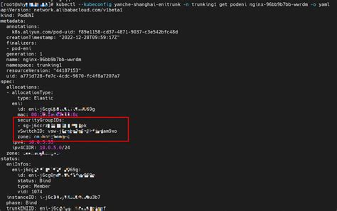 ACK容器网络Terway ENI Trunking数据链路全景剖析 阿里云帮助中心