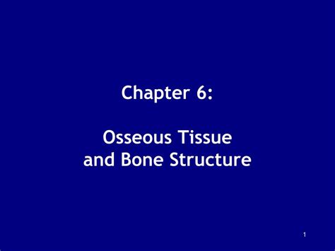 PPT Chapter Osseous Tissue And Bone Structure PowerPoint Presentation ID