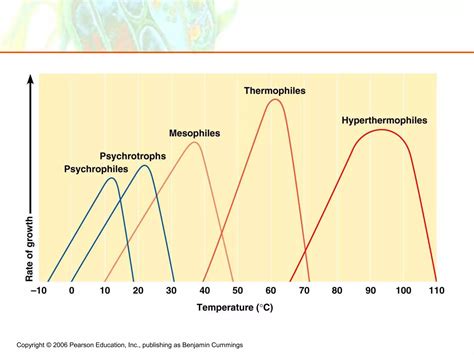 Lect 2 Microbial Growth Ppt