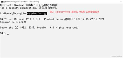 Oracle19c数据库下载及安装步骤详细以及连接navicat和plsqlcloud Applications And Cloud