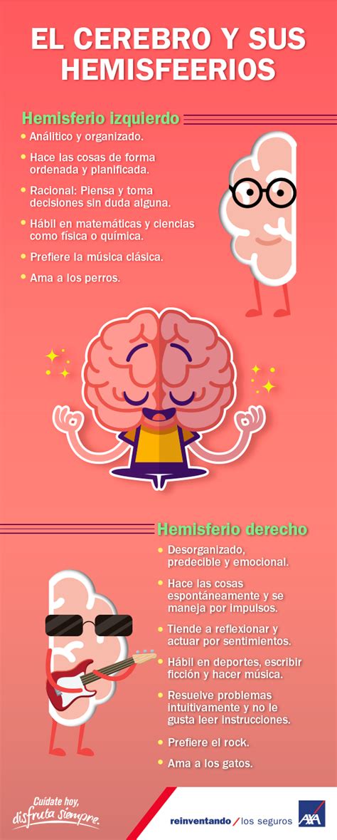 Alguna vez te has preguntado porqué actuamos como actuamos. Te mostramos las diferencias de ...