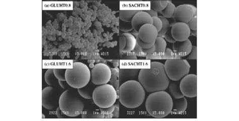 Size Of Hydrochar Particles With Different Substrate Concentration