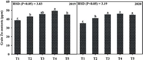Effect Of Zinc Zn Application Rates On Zn Contents In The Grains Of