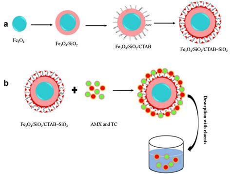 schematic diagram for a synthesis of the mesoporous download scientific diagram