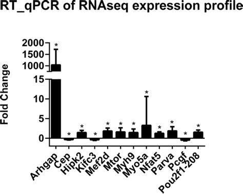 Validation Of The Rna Seq Expression Profiles By Qpcr A Subset Of
