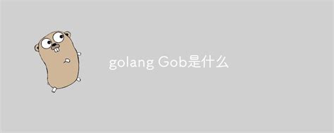 what is golang gob golang php cn