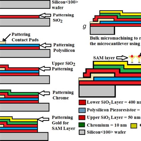 Process Flow Ag For Fabricating The Piezoresistive Sensor For BioMEMS Download Scientific