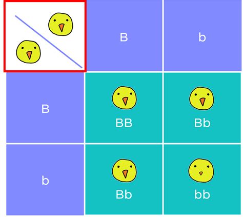 Codominance Examples Punnett Square