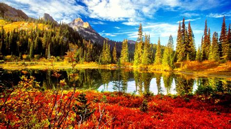 Fall Scenery Hd Wallpapers Pixelstalk