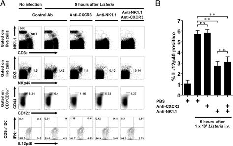 Depletion Of Nknkt Cells Producing Early Ifn G Significantly Reduces Download Scientific
