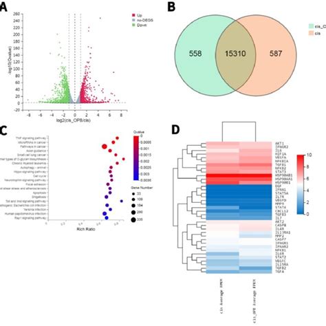Rna Sequencing Results Reveal Differentially Expressed Genes Degs And