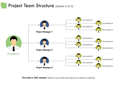 Project Team Structure Template Ppt PowerPoint Presentation Professional Vector