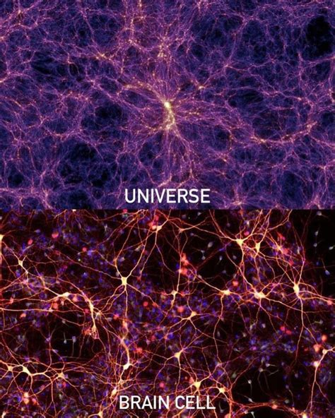 Occult Knowledge And Esoteric Science U