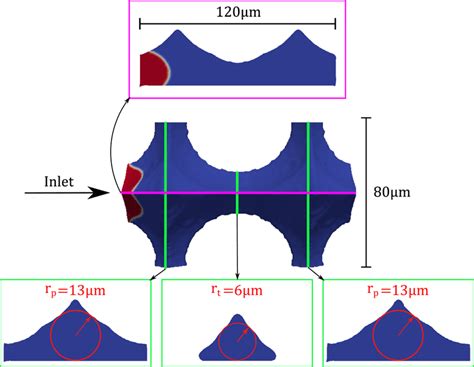 The Dimensions Of The Synthetic Two‐pore Geometry Used In The Analysis Download Scientific