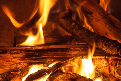 Sassafras Firewood Is It Any Good