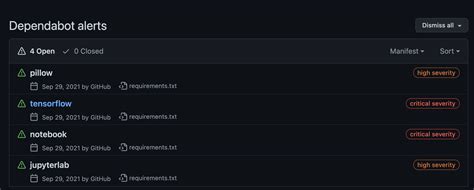 Fix Dependabot Security Alerts For Requirementstxt · Issue 9 · Dlab
