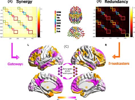 Figure 1 From A Synergistic Workspace For Human Consciousness Revealed