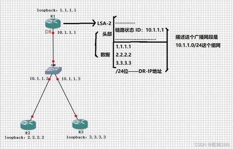 Lsa类型讲解——lsa 2（第二类lsa——network Lsa）、lsa 3（第三类lsa——network Summary Lsa