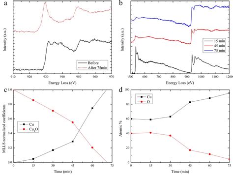 Eels Quantification Mlls Eels Fitting Results And Eels Quantification