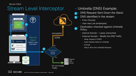 Hiding The Secure Client Aka AnyConnect VPN Module Security Of Everything