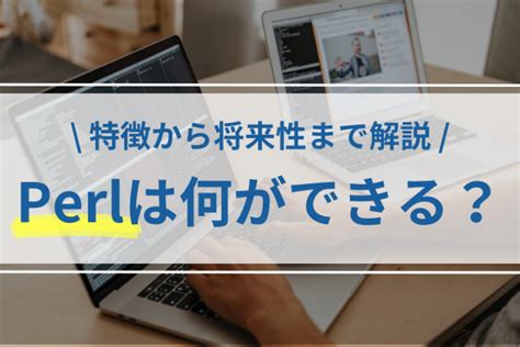 Perlとは？何が出来る言語？特徴から将来性まで解説 エンジニアファクトリーメディア