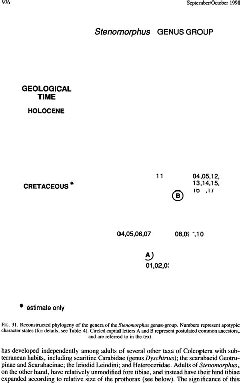 Reconstructed Phylogeny Of The Genera Of The Stenomorphus Genus Group