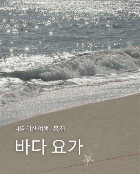몸 집 강릉요가여행 하 타 요 가 와 명 상 With Bkyoga 안녕하세요 강릉 몸 집 입니다 4월 19일 요가와 명상을 도구 삼아 건강한 몸 그 너머