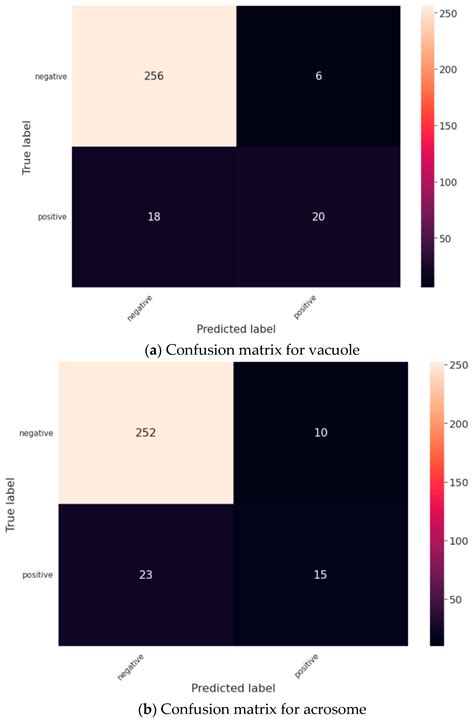 Sperm Abnormality Detection Using Sequential Deep Neural Network
