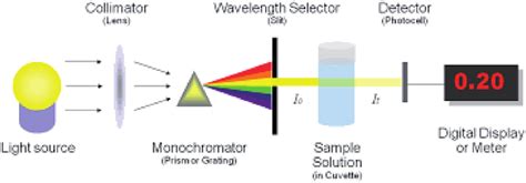Basic Instrumentation Of Spectrophotometer 5 Download Scientific