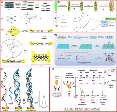 Various Electrochemical Biosensors For The Investigation Of Different
