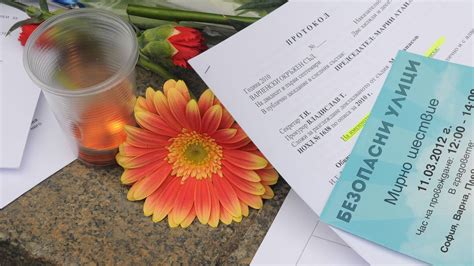 Жители на село Джулюница протестираха срещу убийствата по пътищата Новини бг