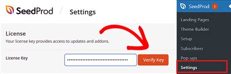 How To Add A Portfolio To Your WordPress Site Step By Step