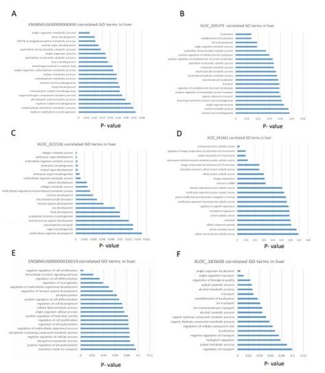 functional prediction of metabolically related differentially expressed