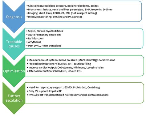 Echo Echocardiography Parameters Ct Computered Tomography Mri