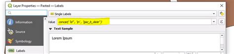 Labeling Labels In Qgis 3224 Are Not Showing Up For Two Polygons