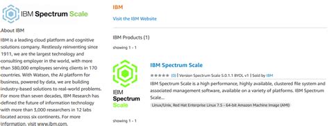 hpc storage on aws ibm spectrum scale