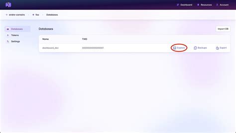 Sql Explorer Web Client For Your Litefs Cloud Databases Fresh