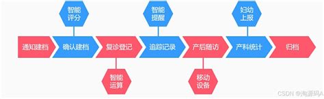 以孕产妇为中心的专科电子病历源码，医院产科信息化管理系统产前诊断信息化系统 Csdn博客