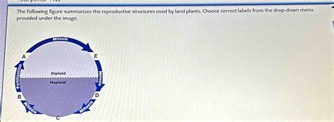 solved the following figure summarizes the reproductive structures
