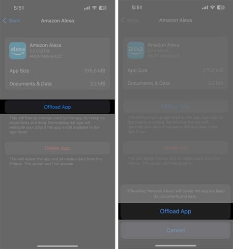 How To Fix Alexa App Not Working On Iphone