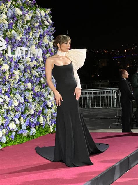 Luz Pascal Debutó En La Gala De Viña Con El Vestido Más Elegante